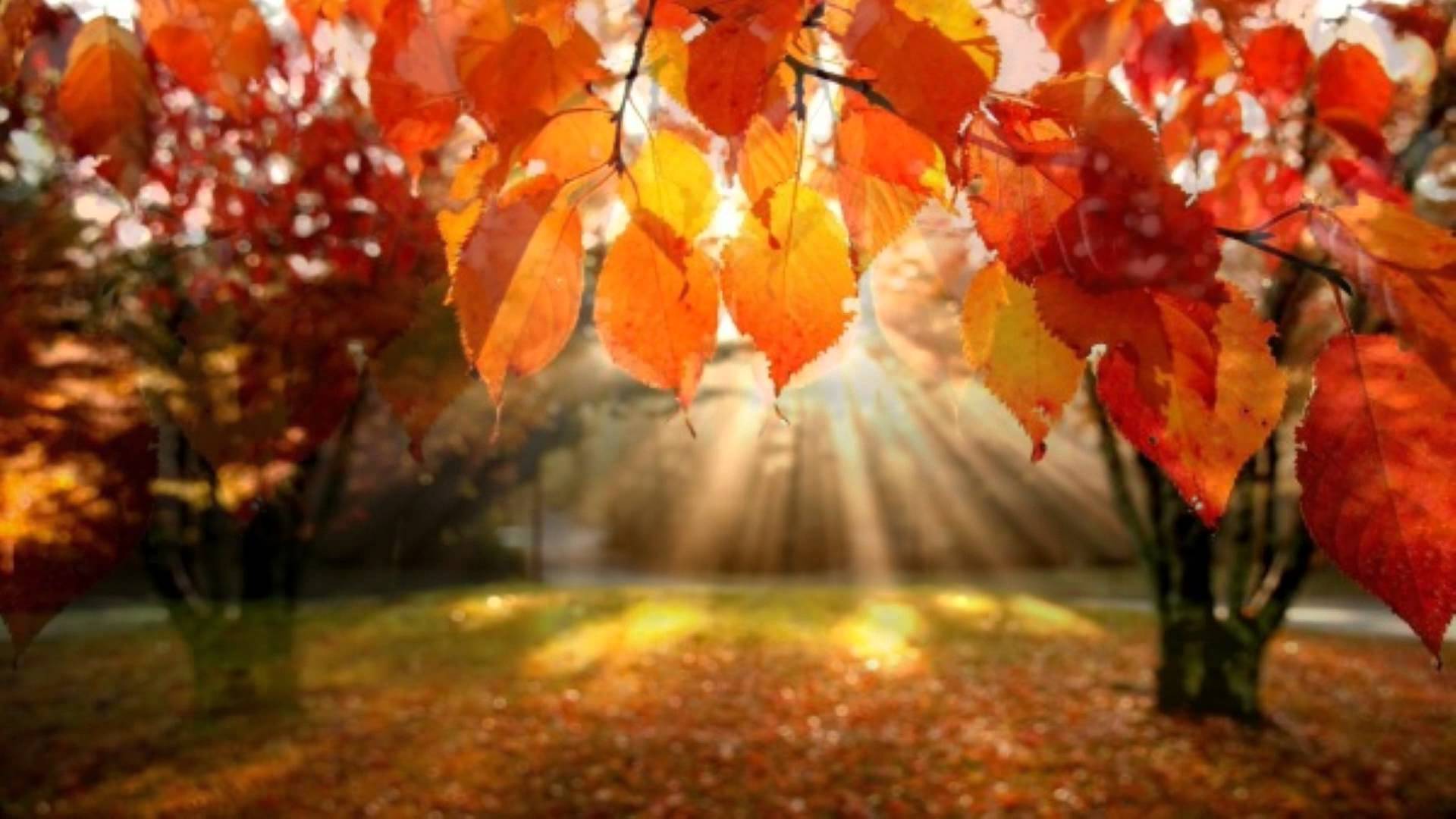Fall Events 2017