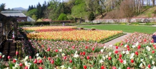 Guide to Your Visit to the Biltmore Estate
